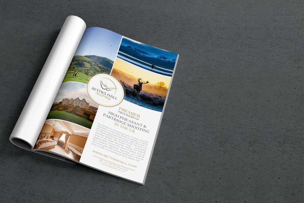 Bettws Hall – Print design and marketing – greensplash design